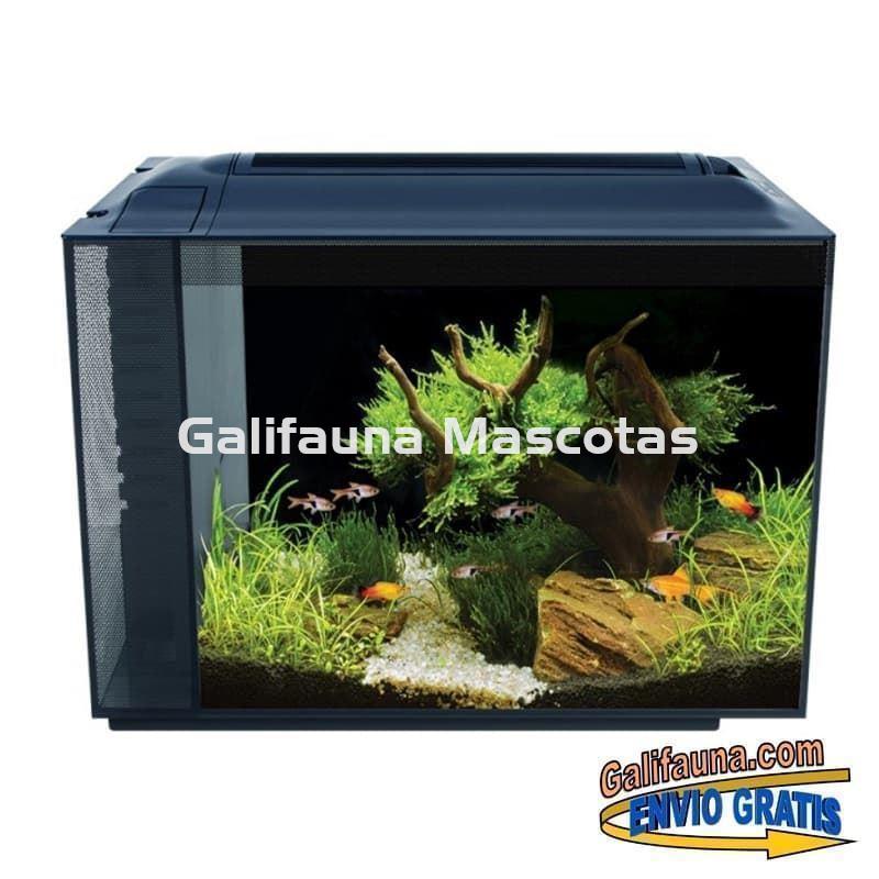 ACUARIO FLUVAL SPEC 60 litros. Elegancia y diseño en un práctico acuario.