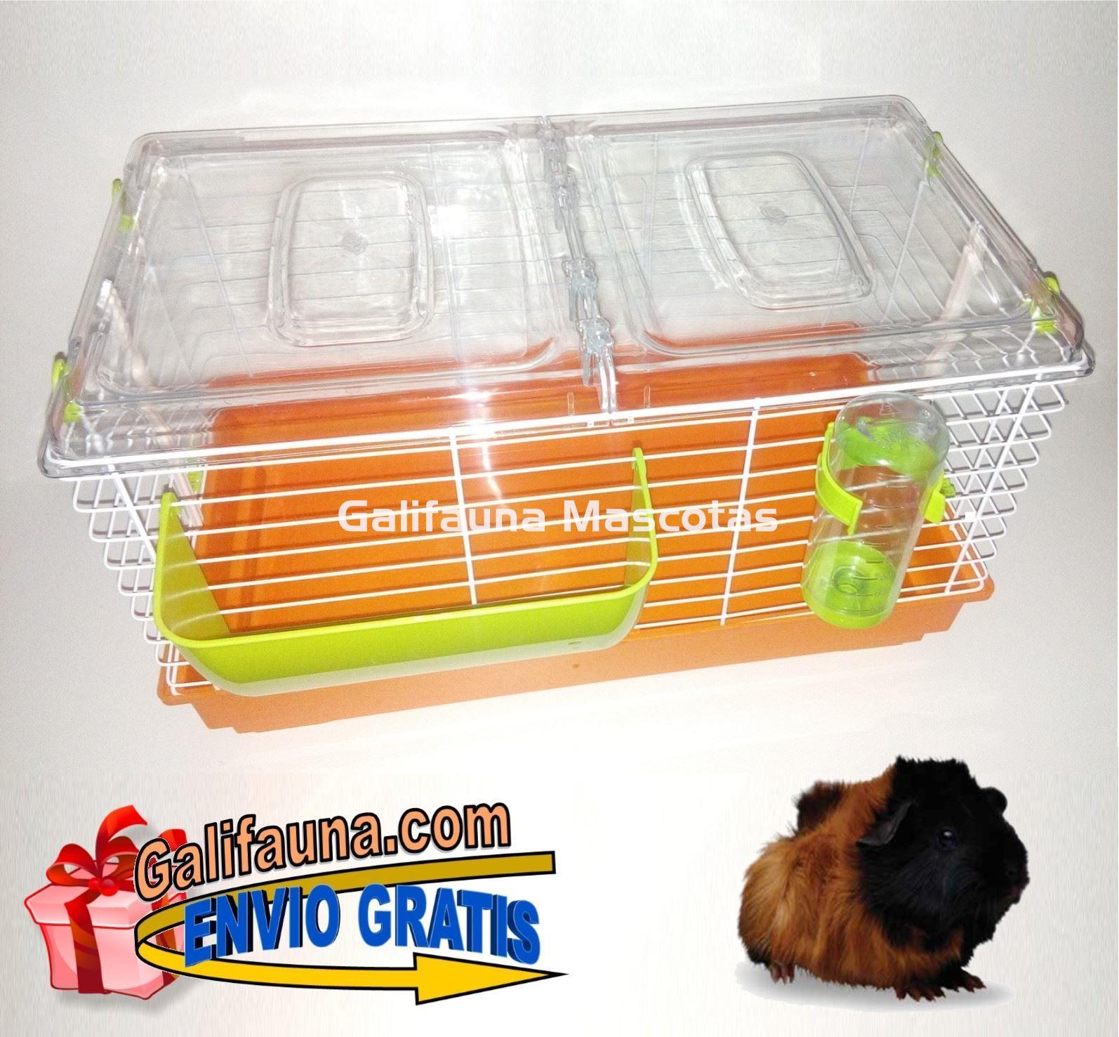 Jaula visión para conejo, cobaya y otros roedores. | Galifauna Compra ...